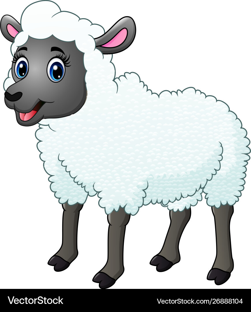 A beautiful sheep isolated on white background Vector Image