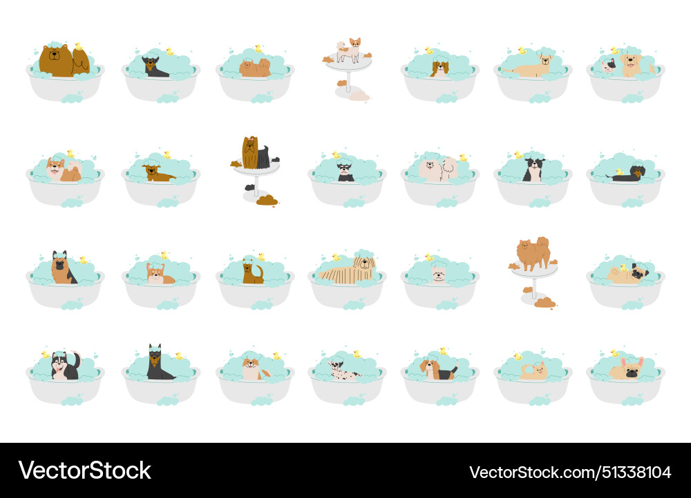Pet grooming collection 2 Royalty Free Vector Image