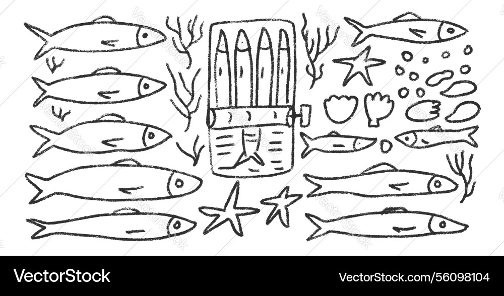 Sardines line doodle set canned fish hand drawn Vector Image