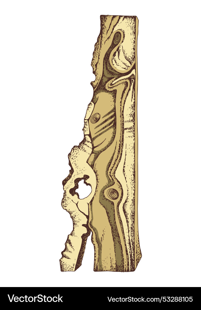 Hand drawn wood slab Royalty Free Vector Image