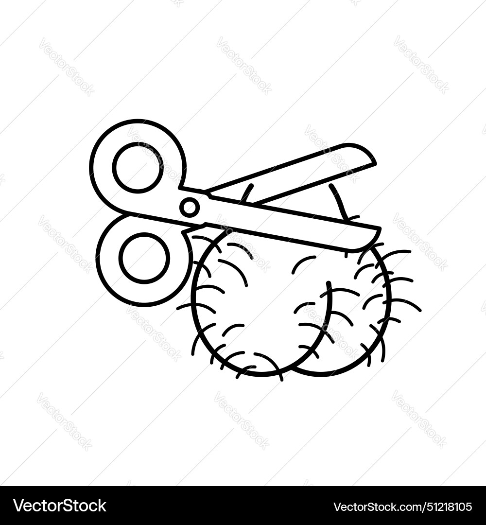 Scrotum And Scissors Castration Concept Cartoon Vector Image