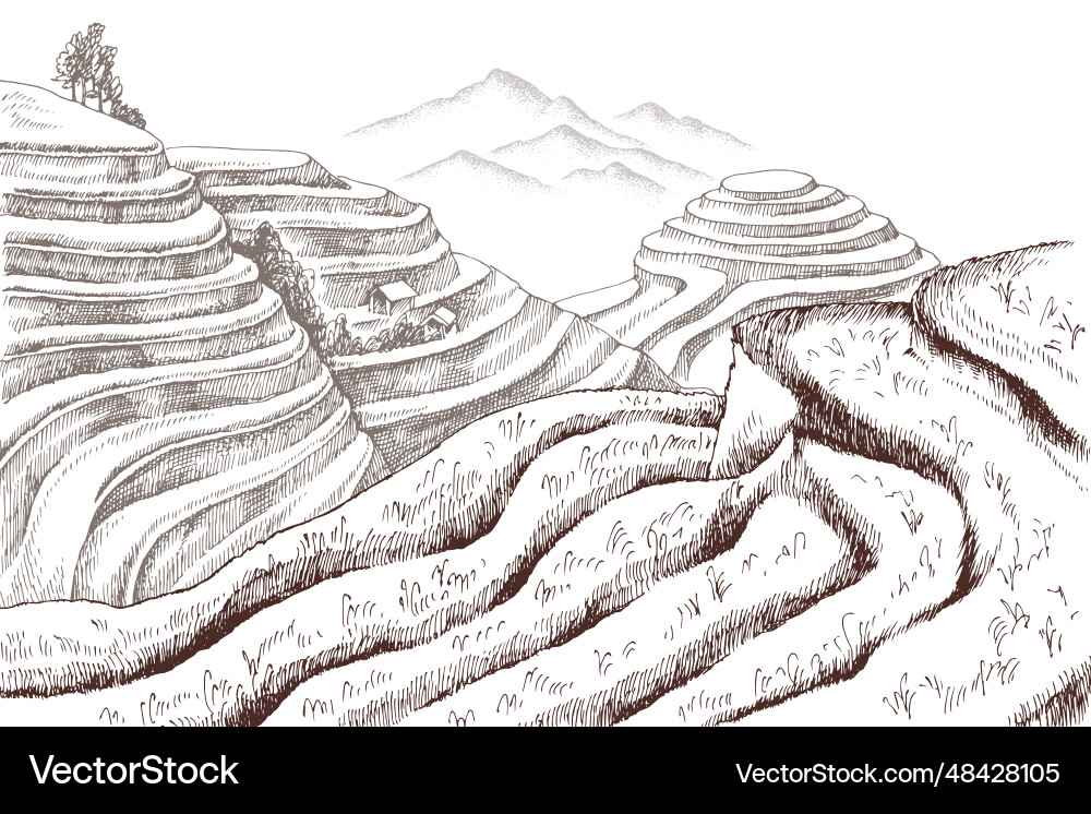 Terraced rice fields hand drawn Royalty Free Vector Image