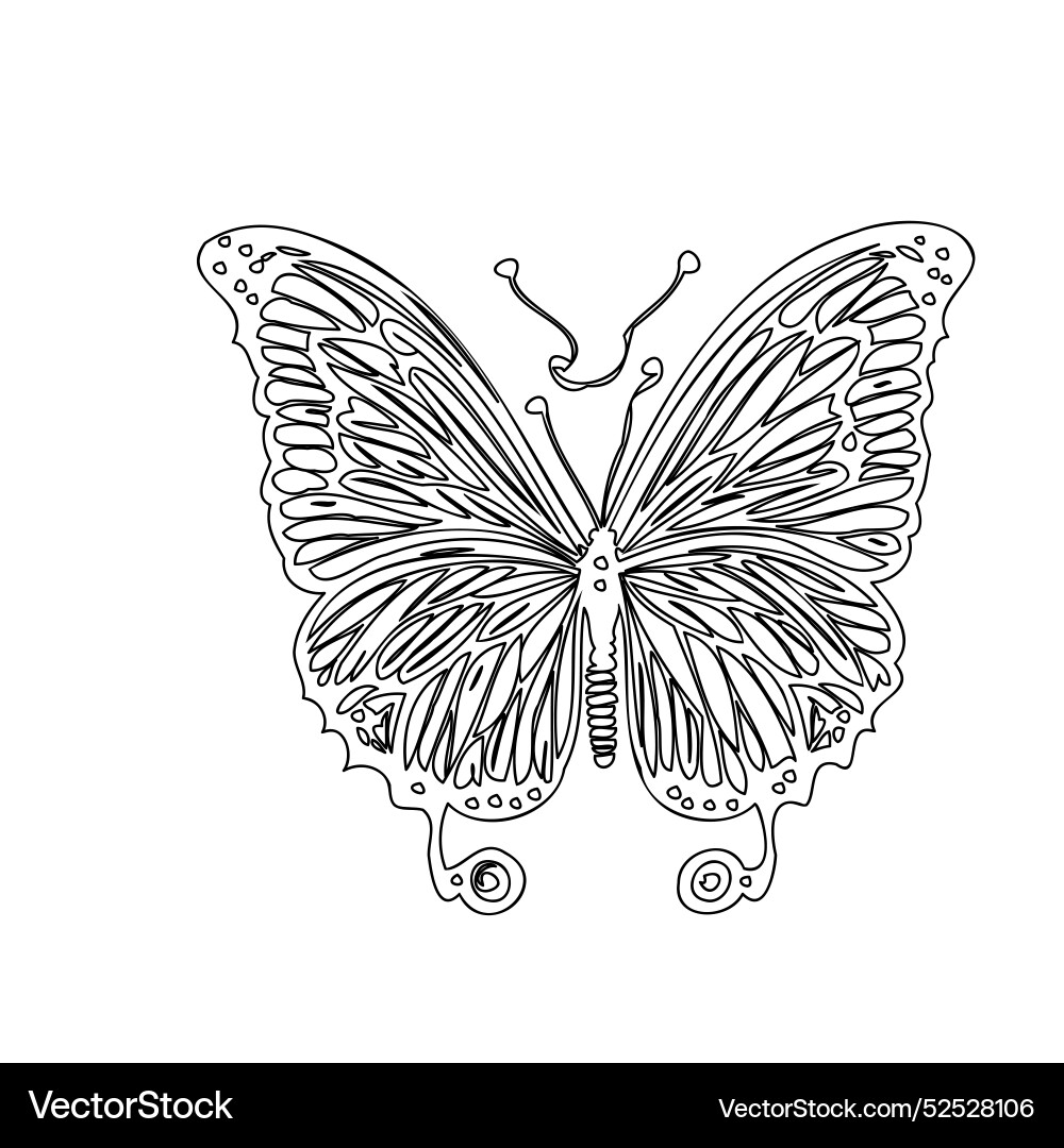 Butterfly animal outline sketch Royalty Free Vector Image