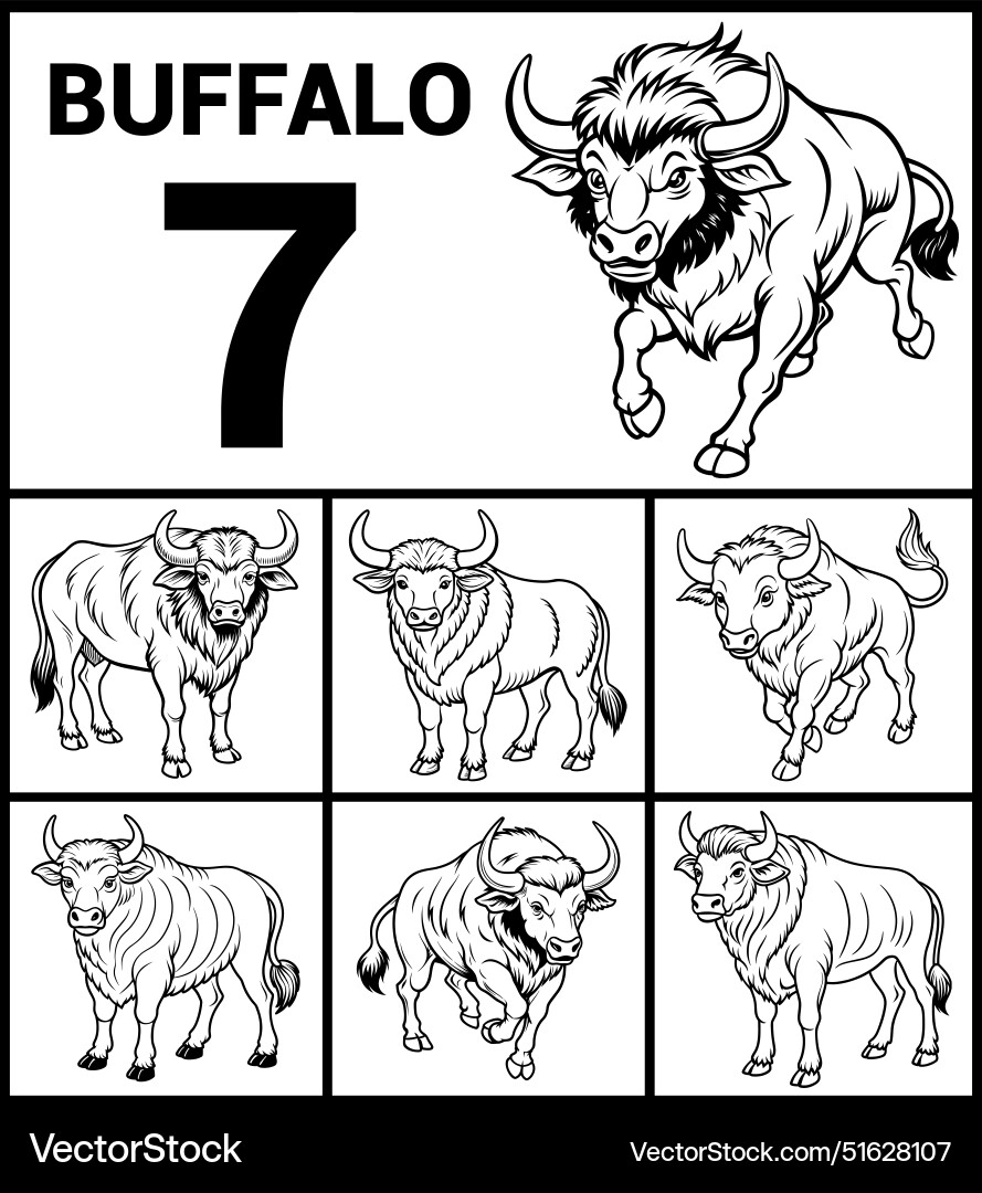 Buffalo outline set Royalty Free Vector Image - VectorStock