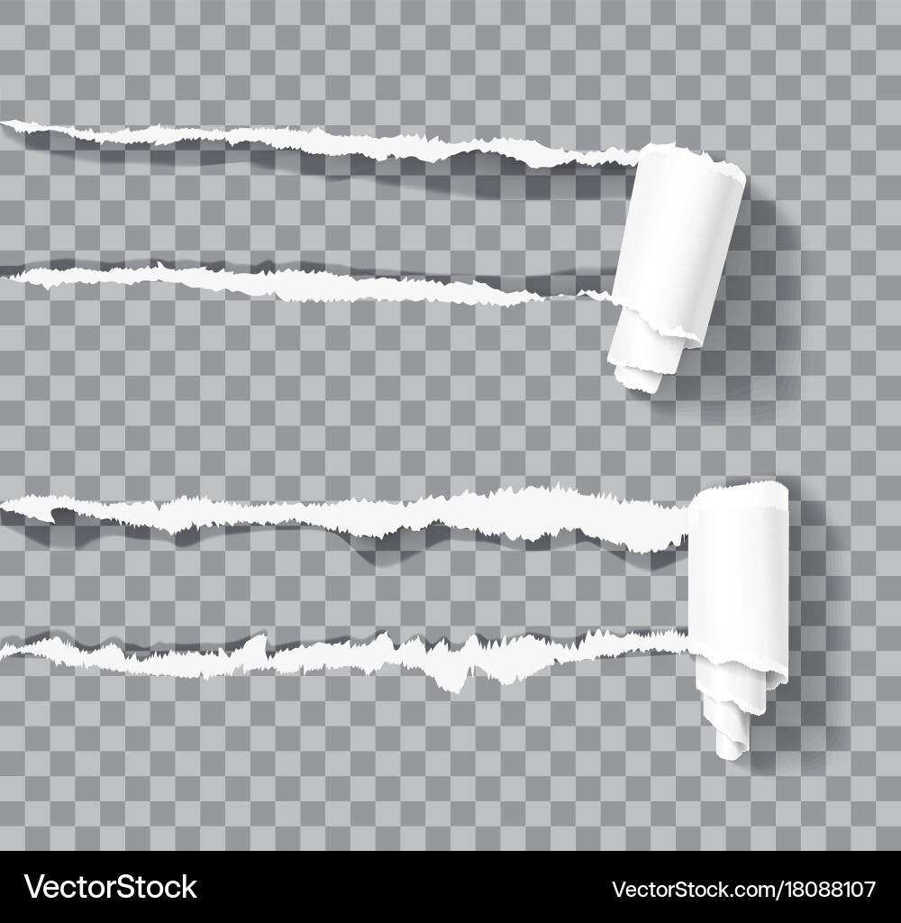 Torn Paper Sheets Royalty Free Vector Image - VectorStock