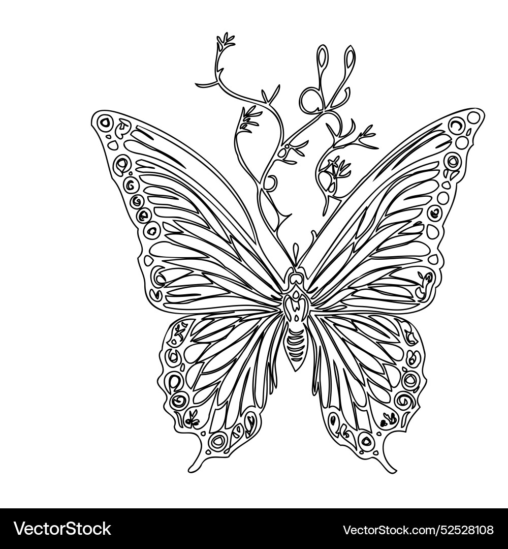 Butterfly animal outline sketch Royalty Free Vector Image