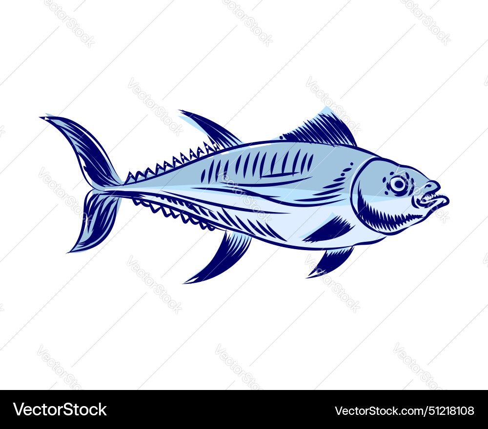 Tuna hand drawing engraving tunny seafood fish Vector Image