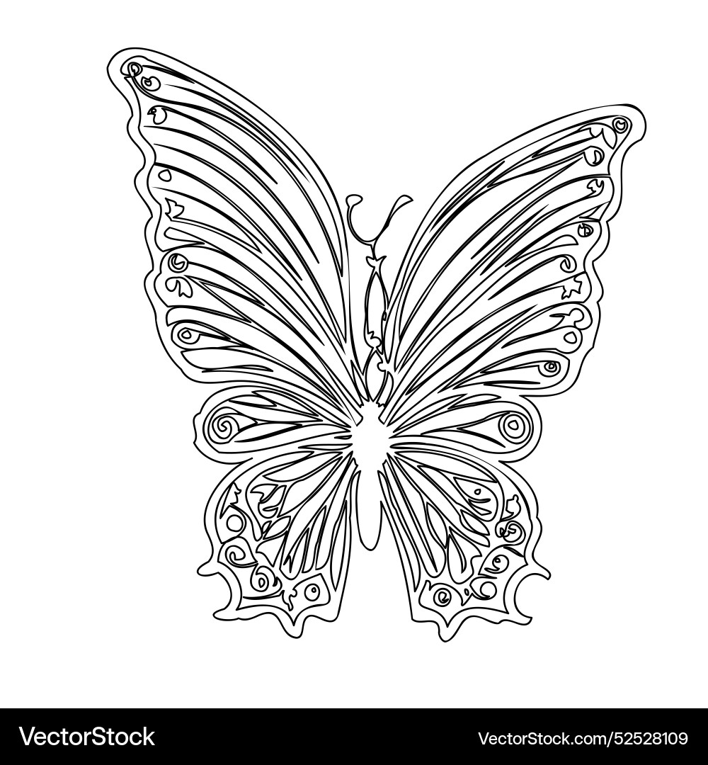 Butterfly animal outline sketch Royalty Free Vector Image