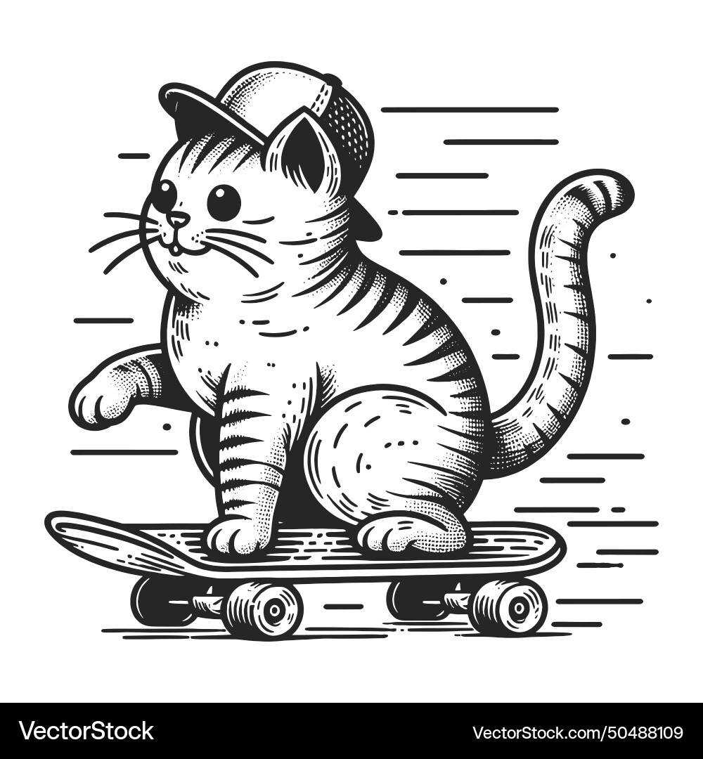 Cartoon cat riding skateboard sketch Royalty Free Vector
