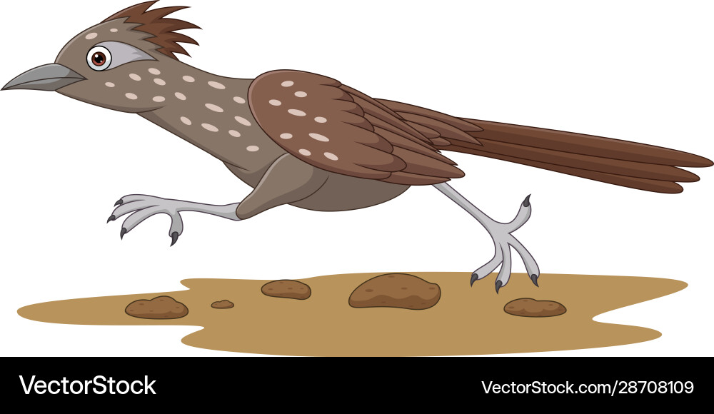 Cartoon roadrunner bird running on road Royalty Free Vector