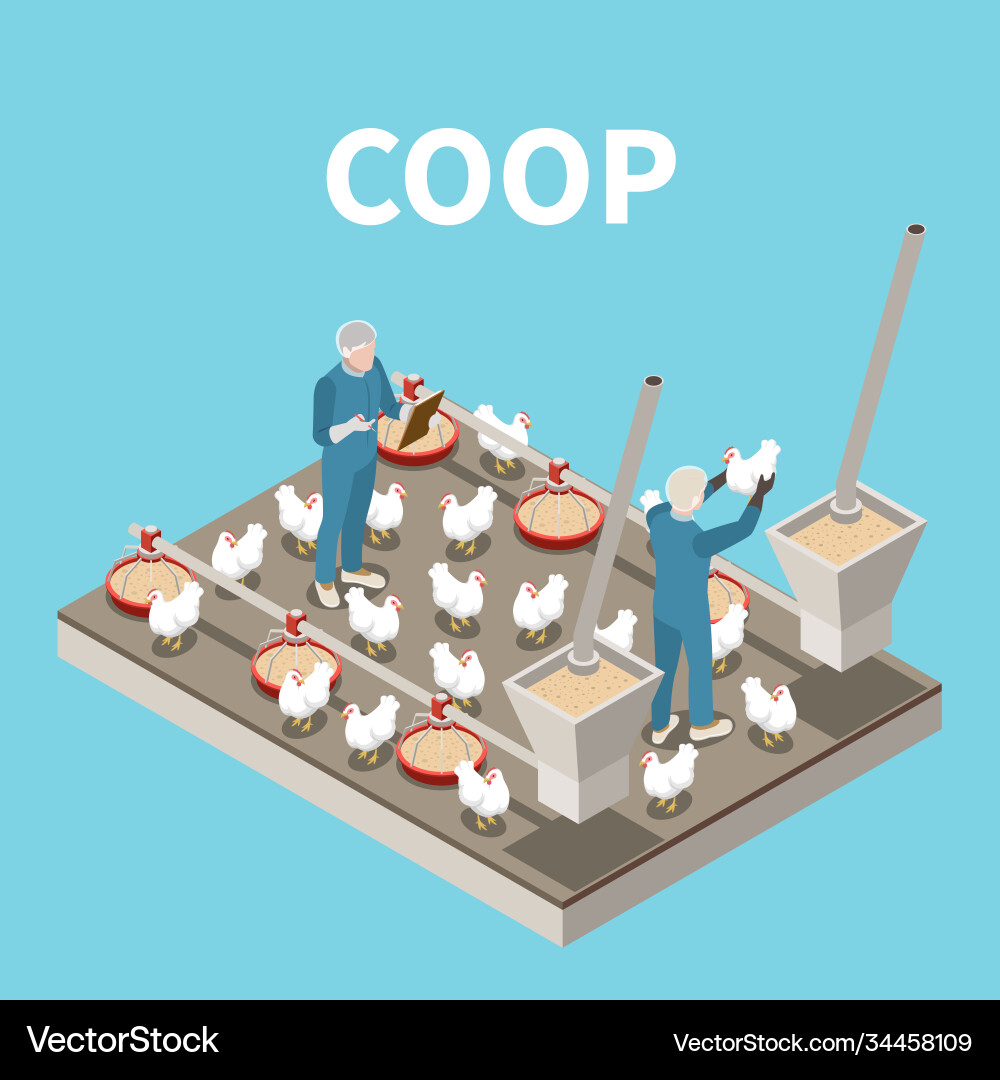 Coop isometric background Royalty Free Vector Image