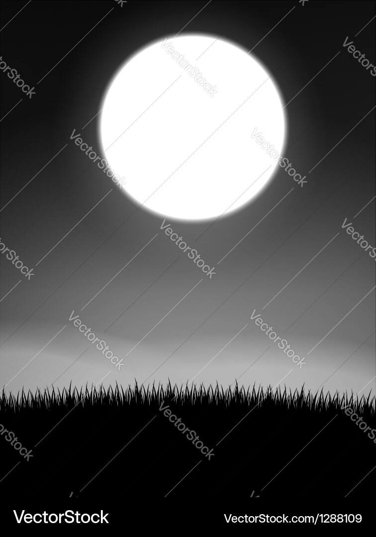 Midnight on meadow Royalty Free Vector Image - VectorStock