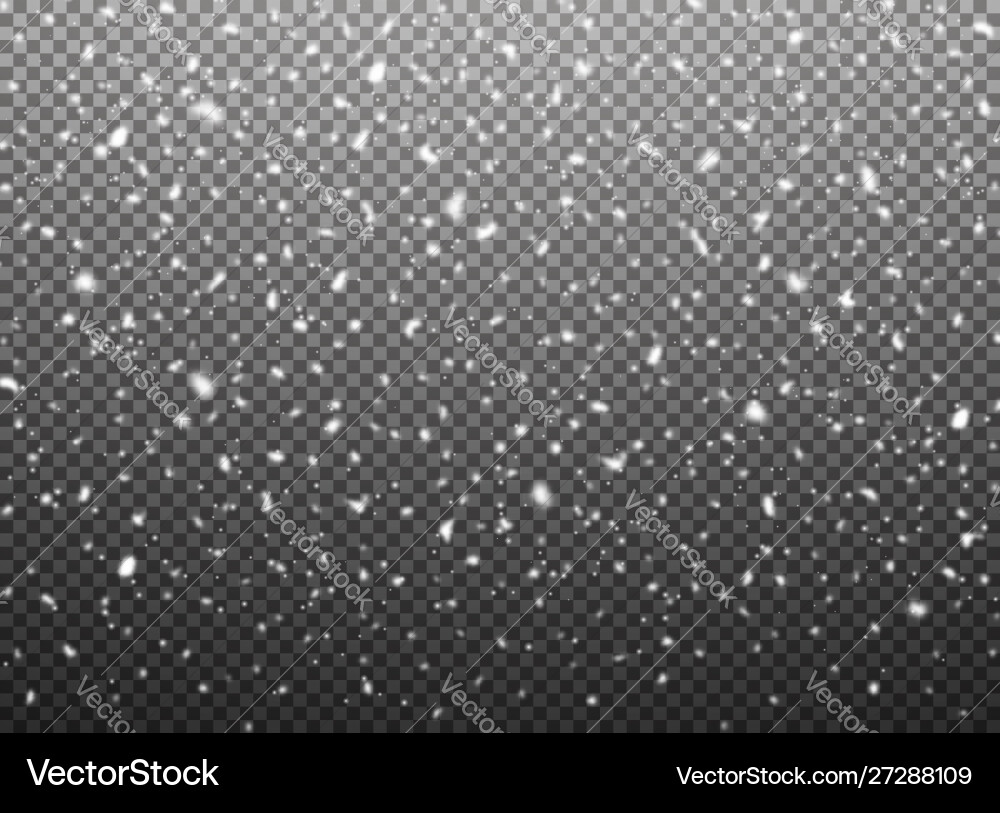 Snowfall snowflakes on transparent background Vector Image