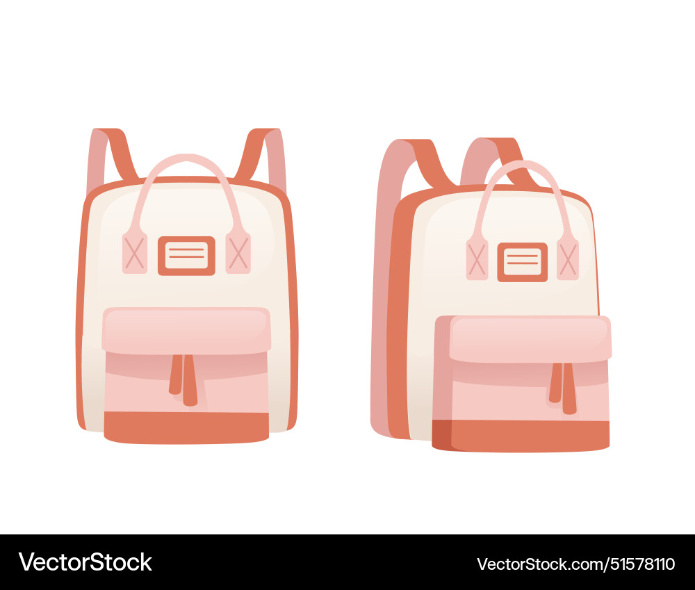Pink backpack for daily usage casual design flat Vector Image