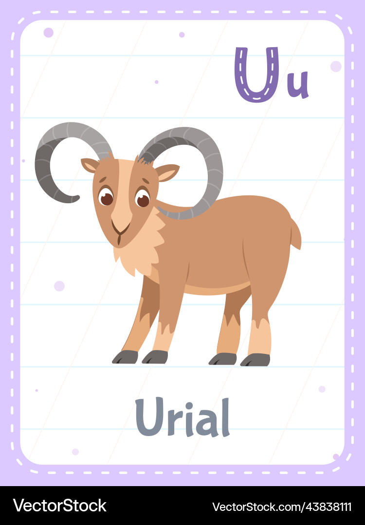 Letter U Flashcard - Urrial Animal Royalty Free Vector Image
