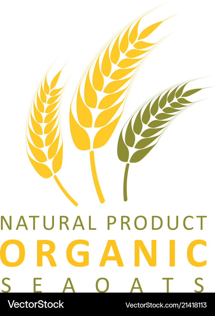 Wheat paddy logo Royalty Free Vector Image - VectorStock