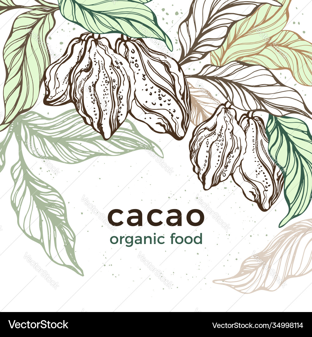 Cacao template nature background art botanical Vector Image