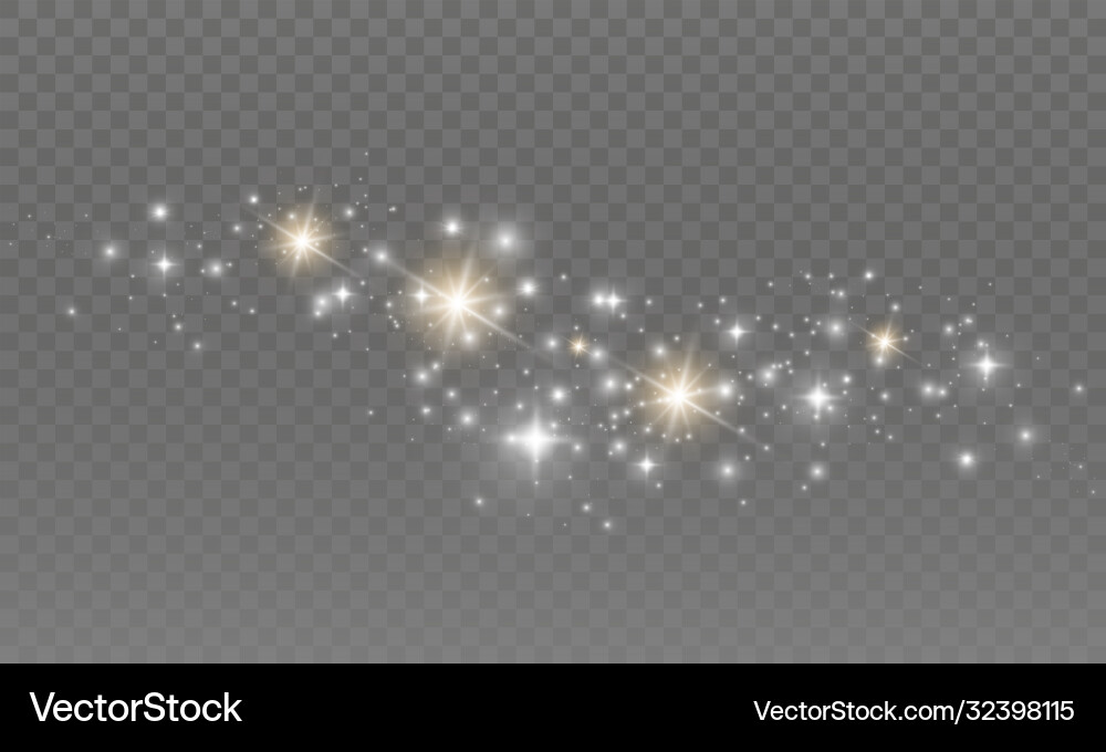 Sparkling dust particles Royalty Free Vector Image