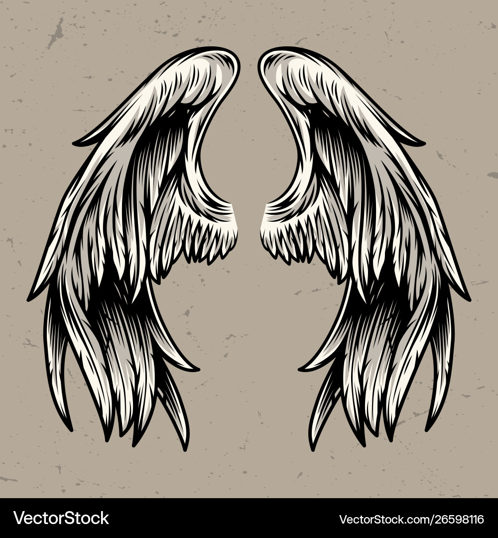 Two angel wings template Royalty Free Vector Image