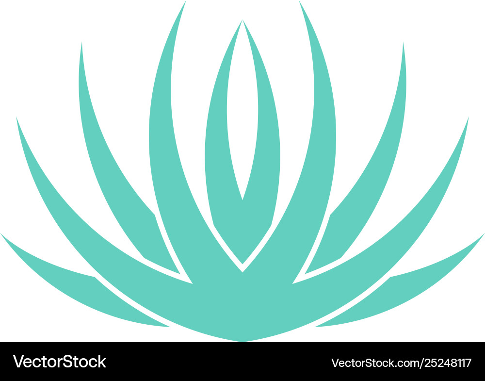 Blue agave Royalty Free Vector Image - VectorStock