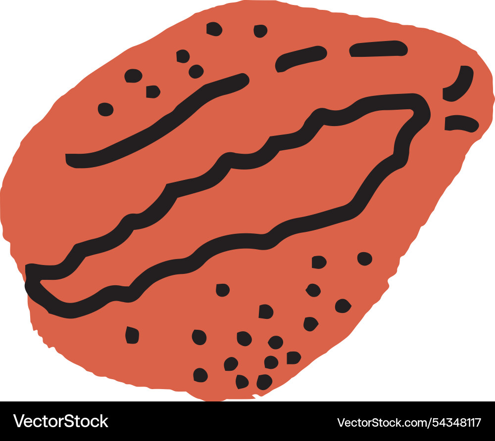 Speckled marine shell – Royalty-Free Vector | VectorStock