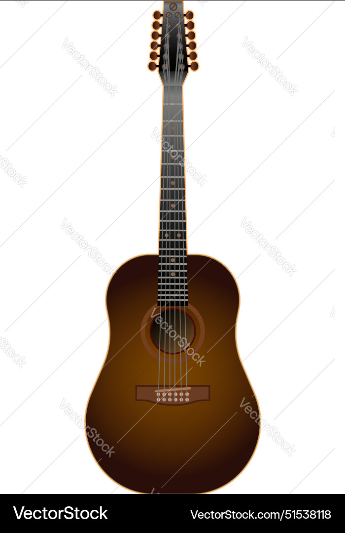 Classic twelve string guitar isolated on white Vector Image