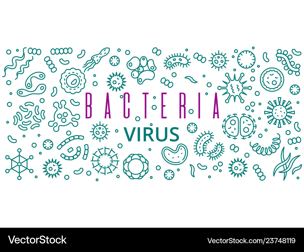 Bacterial & Viral Infection Banner Royalty Free Vector