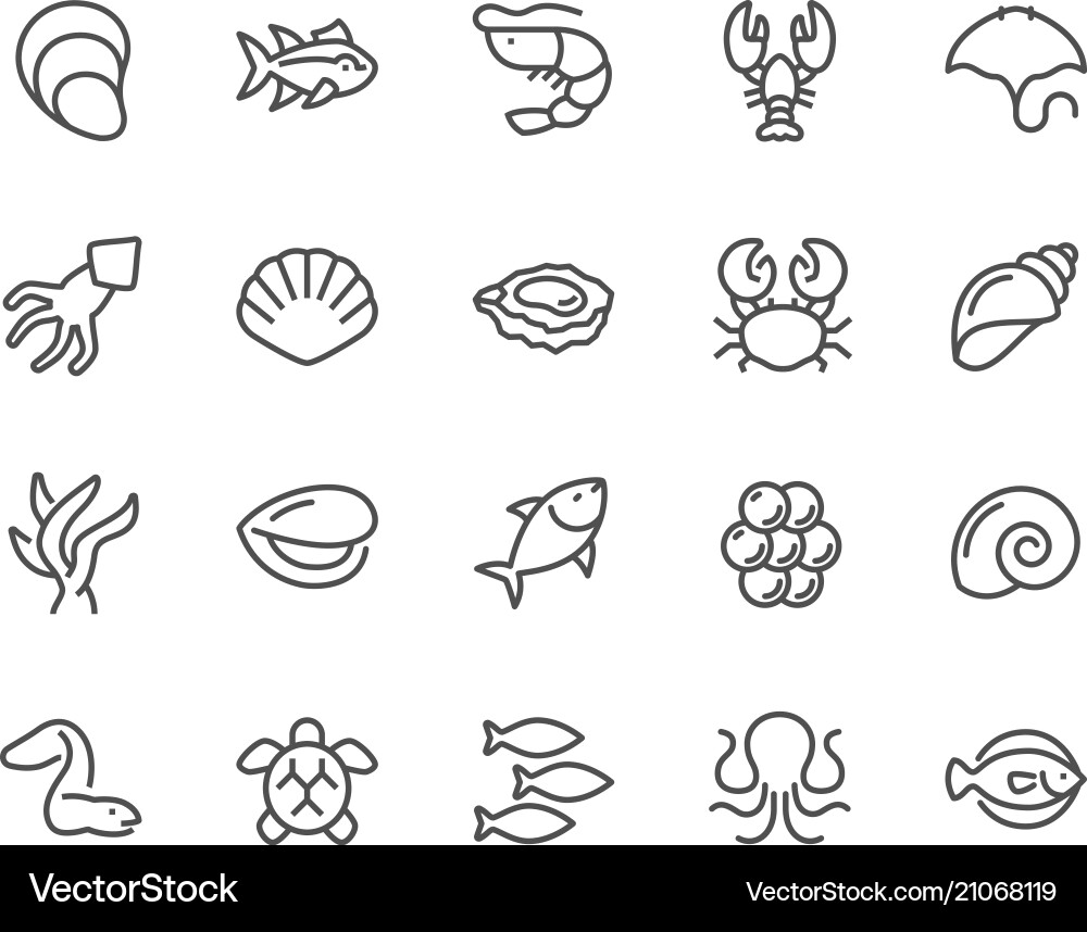 Clam Outline Vector Images (over 2,200)