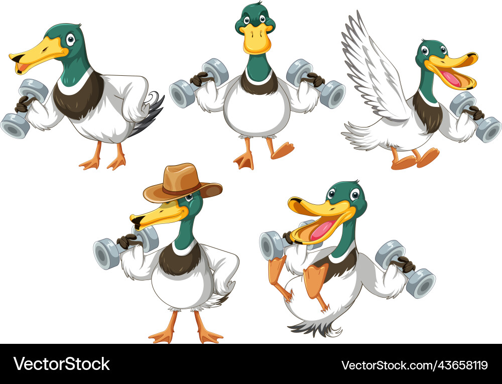 Set of duckling doing different activities Vector Image