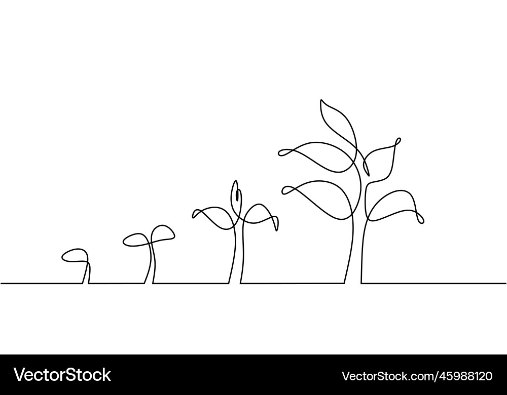 Continuous one line drawing plant growth process Vector Image