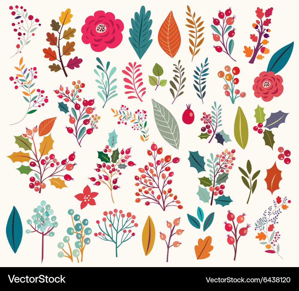 Floral elements and leaves Royalty Free Vector Image