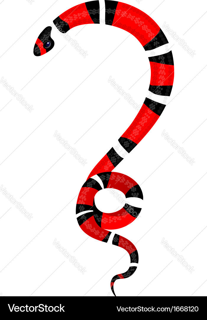 Question snakes Royalty Free Vector Image - VectorStock