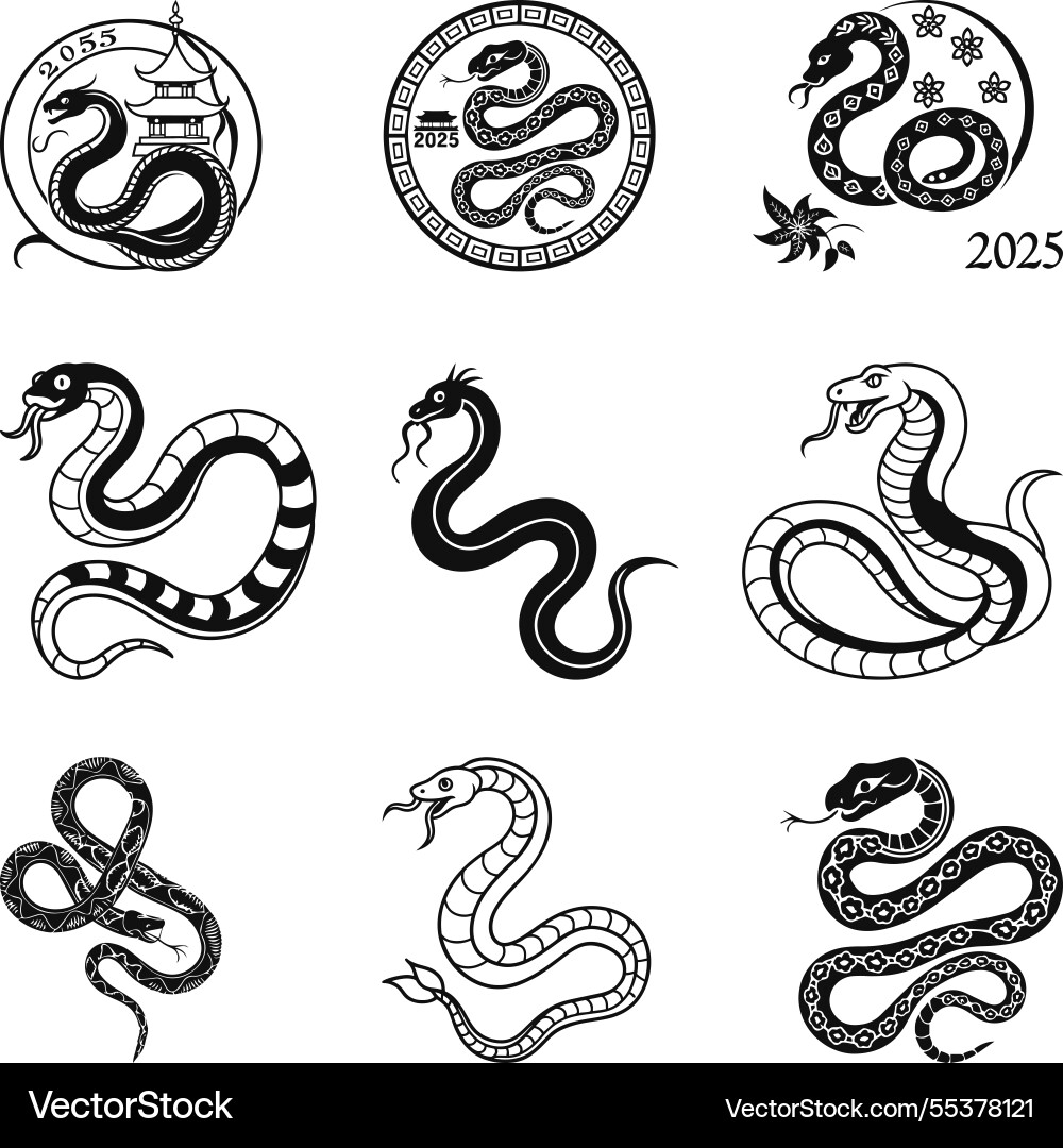 Chinese new year 2025 snake logos zodiac Vector Image