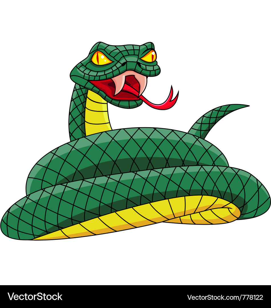 Angry snake Royalty Free Vector Image - VectorStock