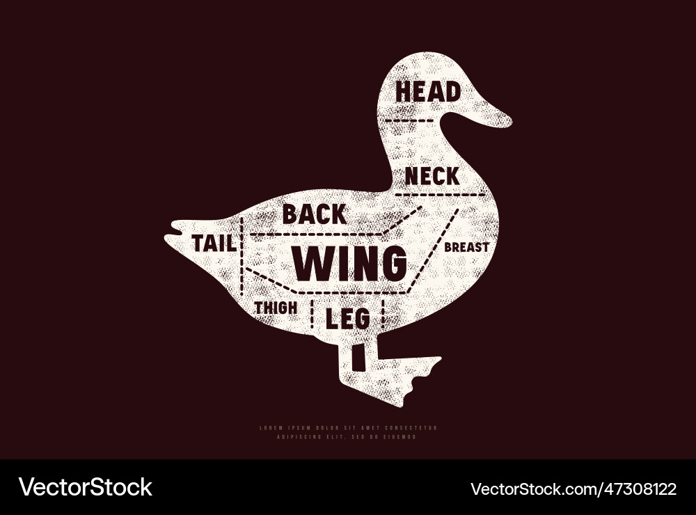 Duck cuts diagram in silhouette style Royalty Free Vector