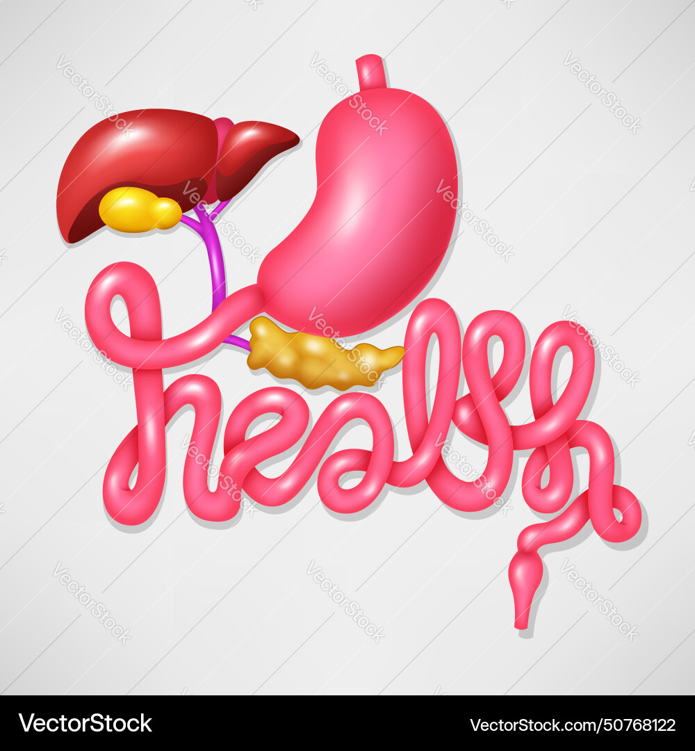 Health campaign symbol human digestive system Vector Image