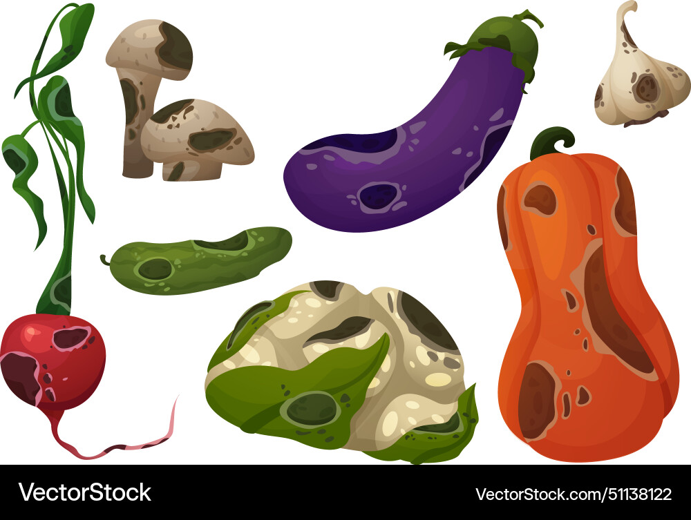 Rotten food with rot and mold Royalty Free Vector Image