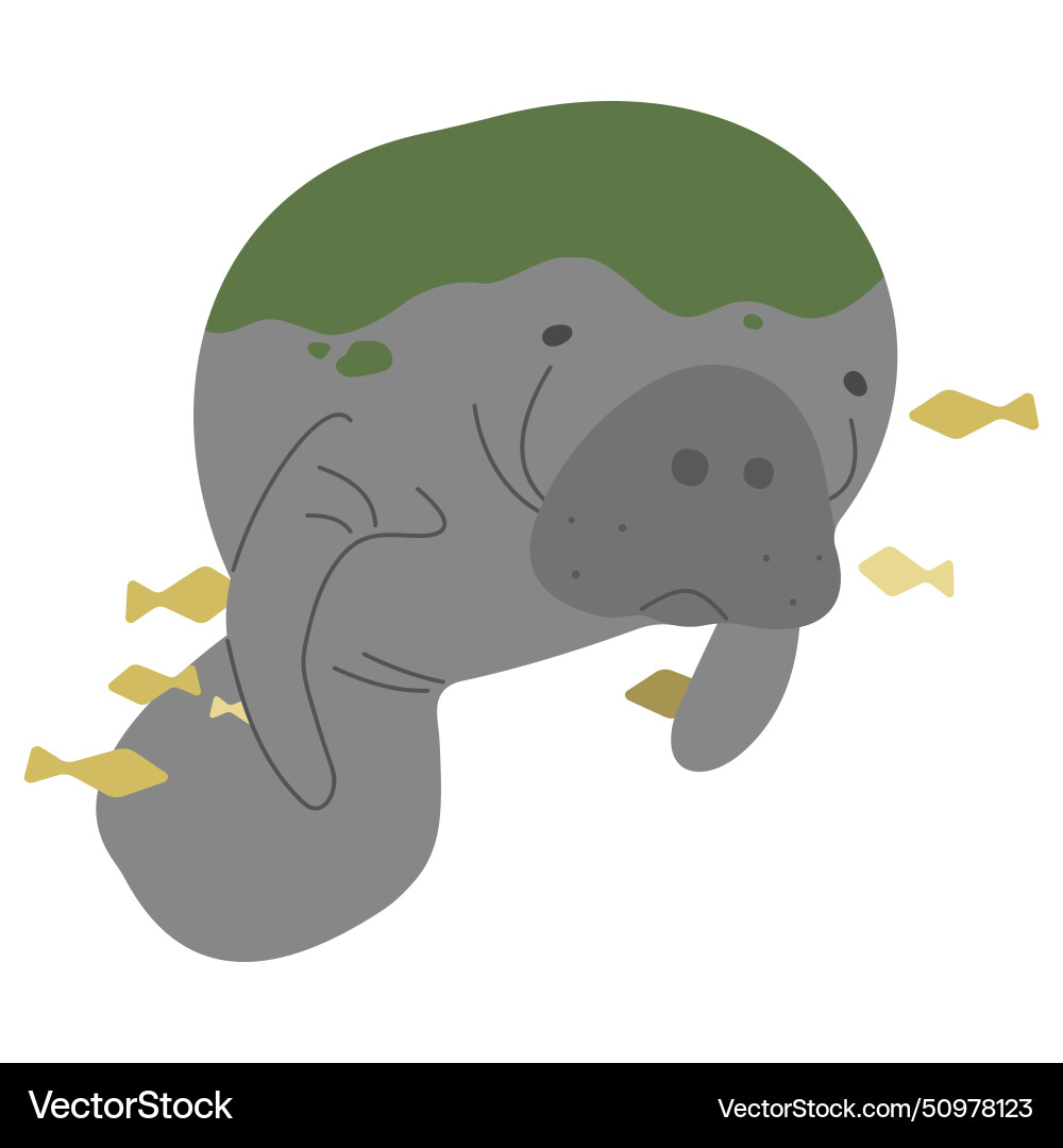 Manatee single 5 Royalty Free Vector Image - VectorStock