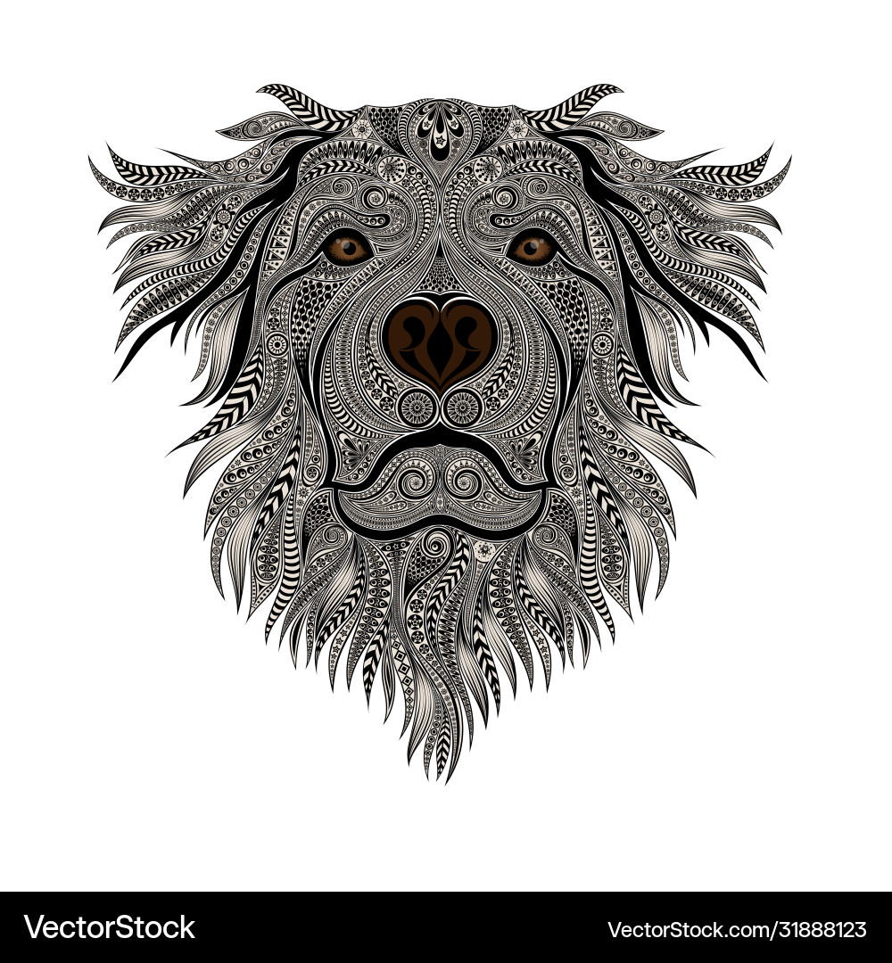 Portrait australian shepherd Royalty Free Vector Image
