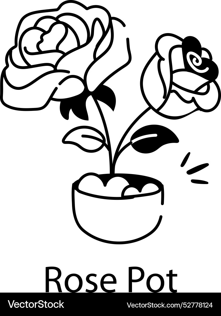 Rose pot Royalty Free Vector Image - VectorStock