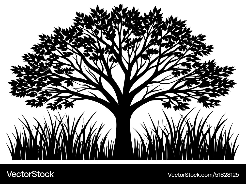 A meadow with prominent tree Royalty Free Vector Image