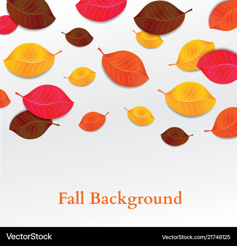 Fall leaves Royalty Free Vector Image - VectorStock