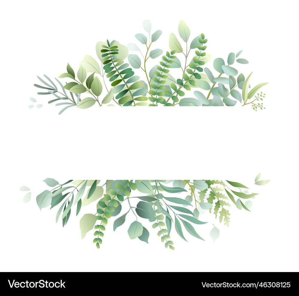 Greenery plants watercolor eucalyptus border Vector Image