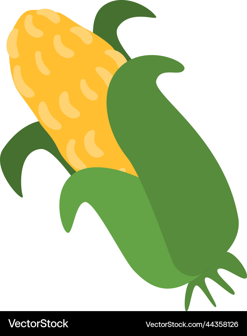 Corn flat Royalty Free Vector Image - VectorStock