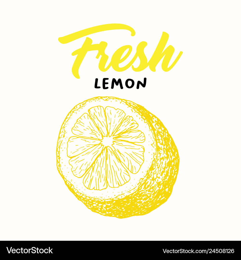 Fresh lemon color Royalty Free Vector Image - VectorStock