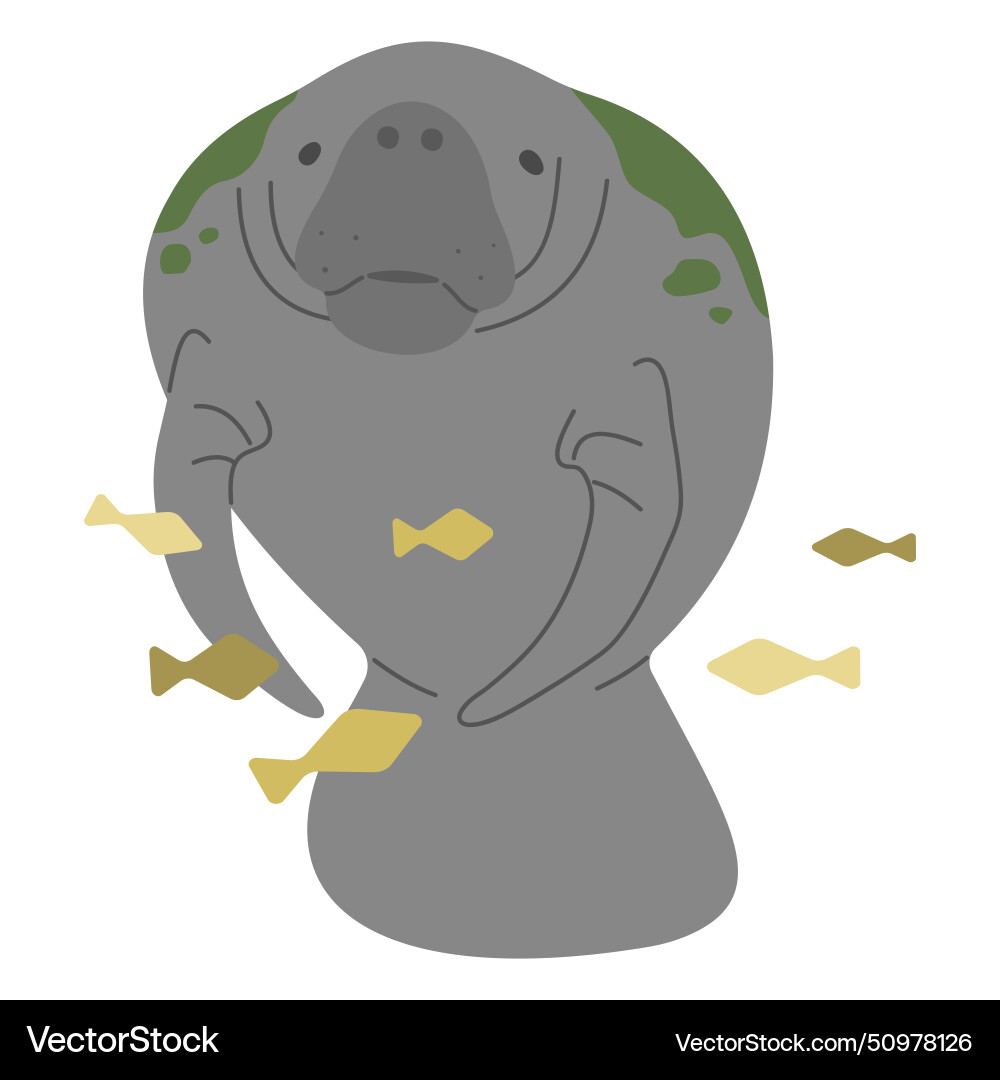 Manatee single 8 Royalty Free Vector Image - VectorStock