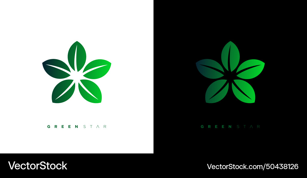 Unique and elegant green star logo design Vector Image