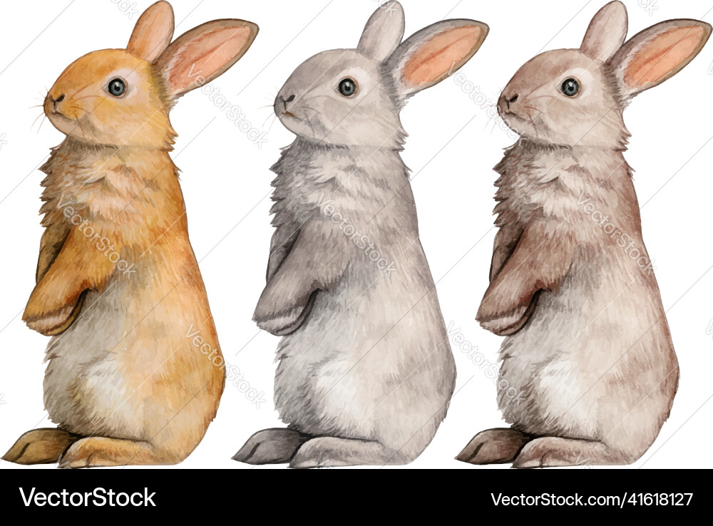 Watercolor hand drawn bunny collection Royalty Free Vector