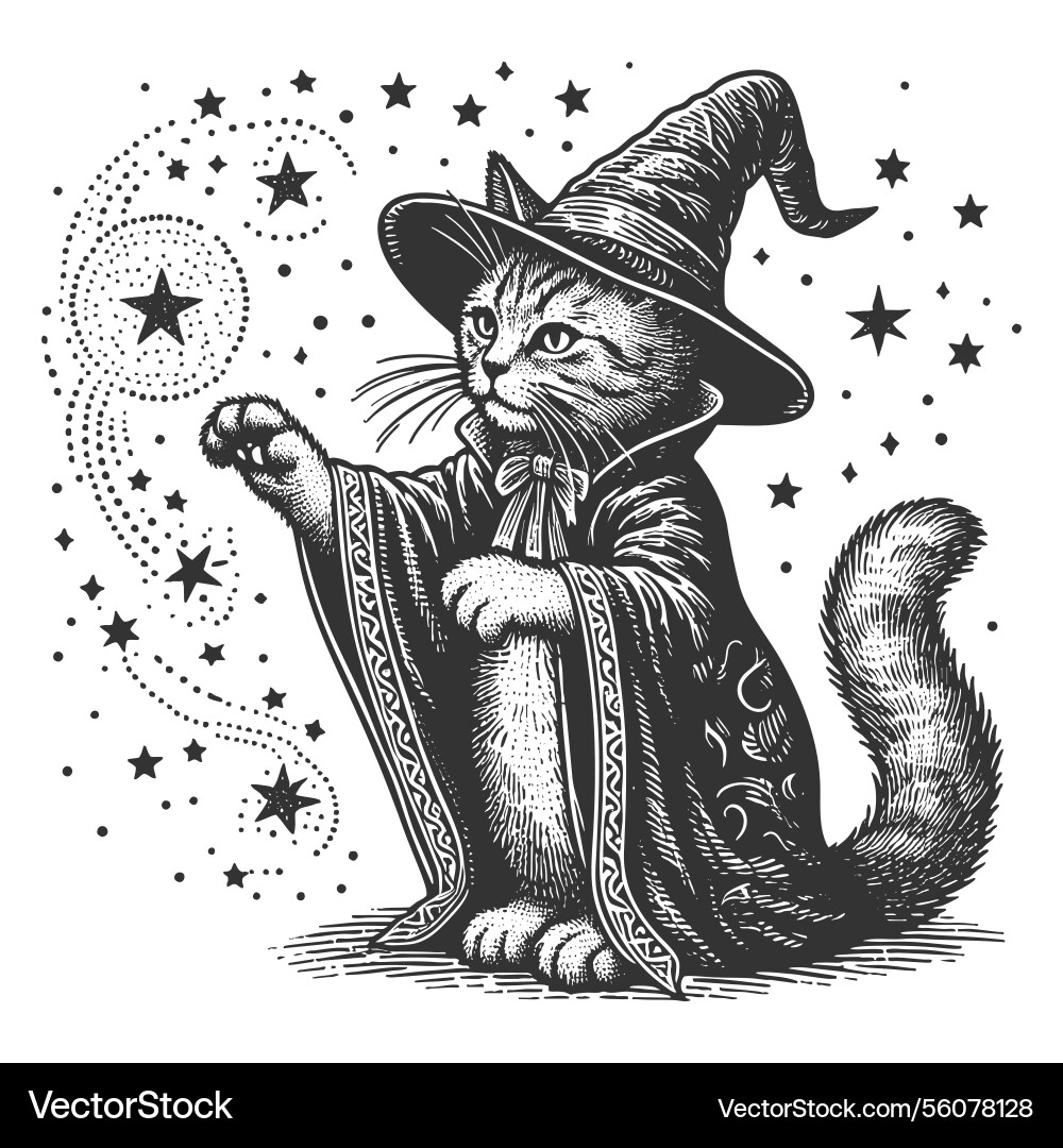 Magical wizard cat casting spell with stars Vector Image