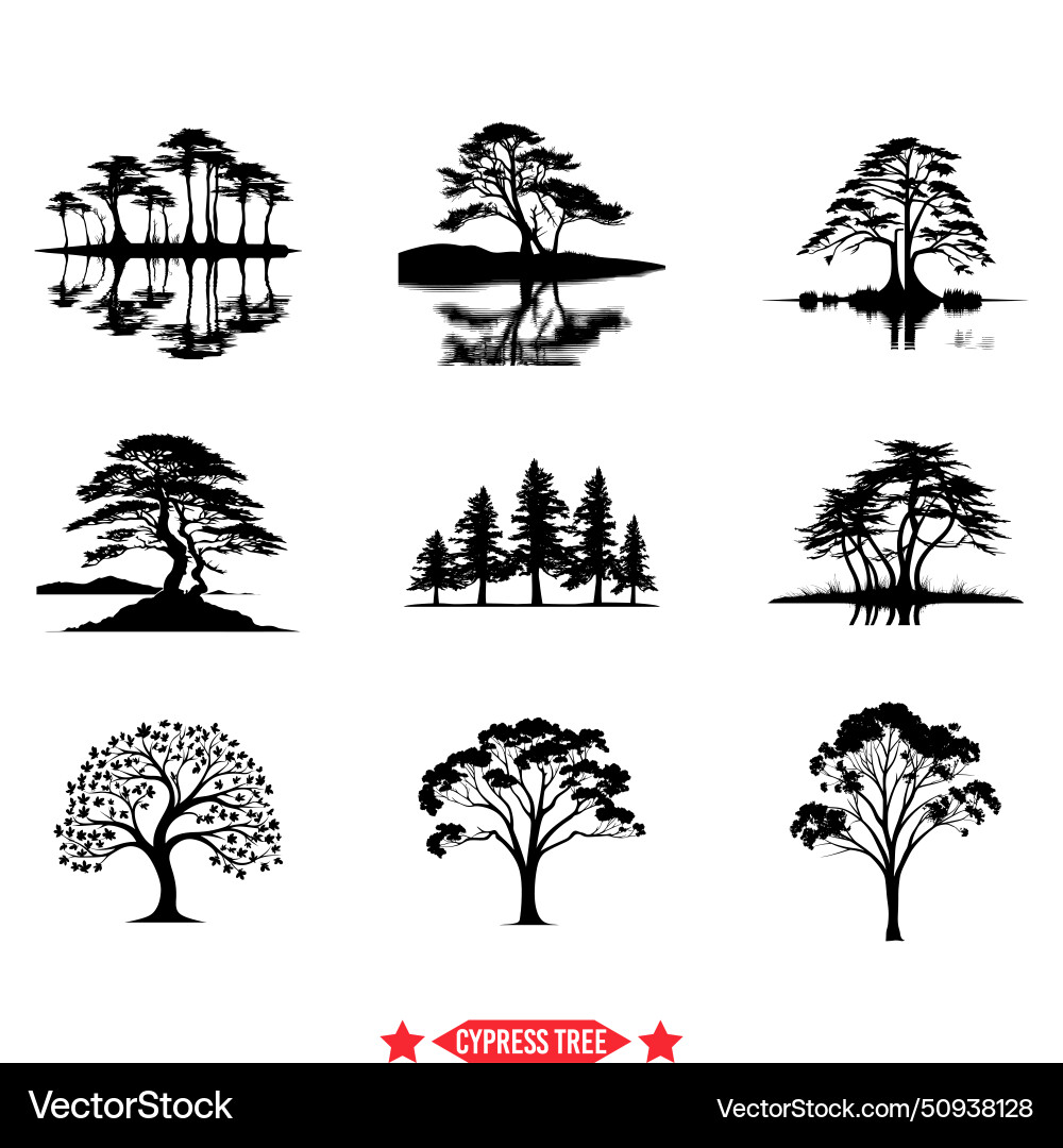 Majestic cypress tree silhouettes versatile Vector Image